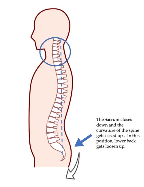 How to Fix Your Lower Back Pain - hariQ acupuncture & herbs
