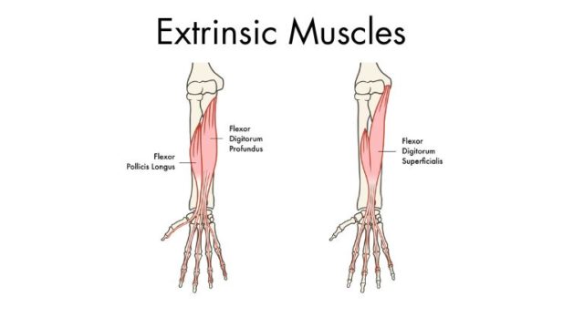 Easy 8 Steps Massages for Trigger Finger - hariQ acupuncture